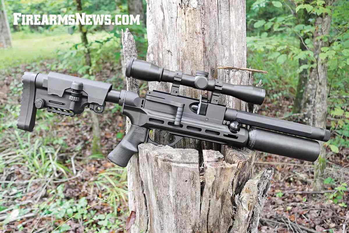 Rapid Air WORX HM1000 Microhunter .25-Cal Air Rifle Review - RAW